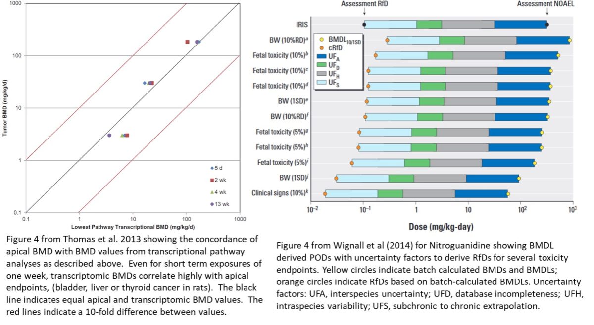 The Application Of Benchmark Dose To Toxicogenomic Data - ScitoVation