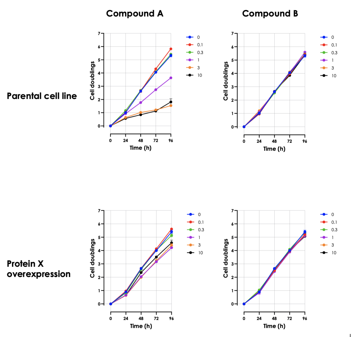 Kinetic Proliferation Assay - ScitoVation