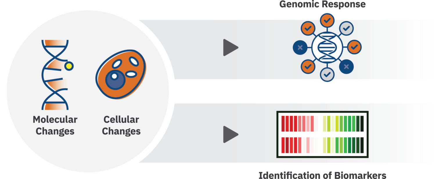 Toxicogenomic or Pharmacogenomic Studies - ScitoVation