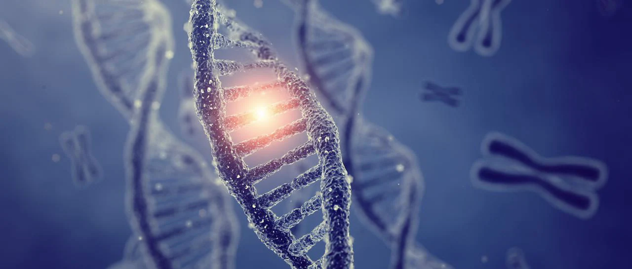 Testing and Screening Methods for Genotoxicity and Mutagenicity